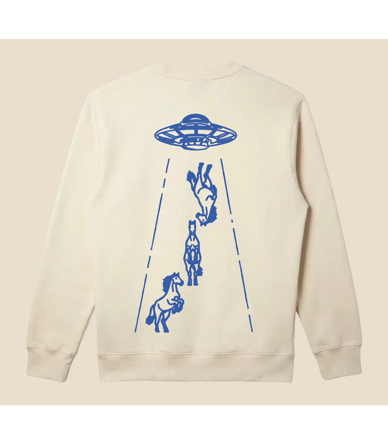Mystery Lights Crewneck | Marfa Country Club Apparel